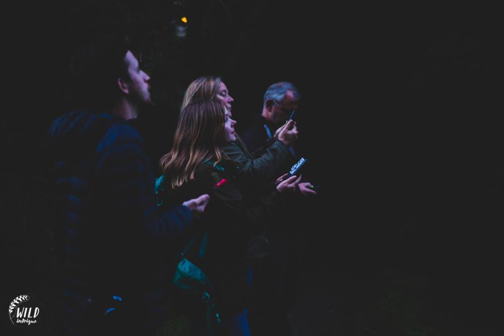 Gosforth Nature Reserve Bat Safari - Wild Intrigue