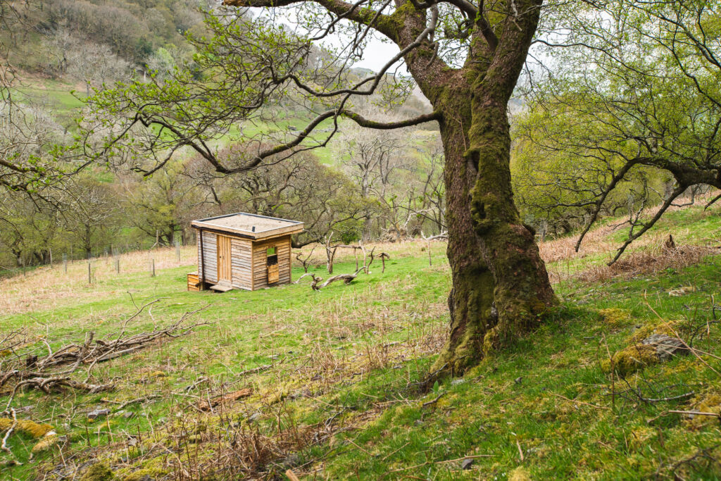 Woodland Wildlife Hide - Wild Intrigue