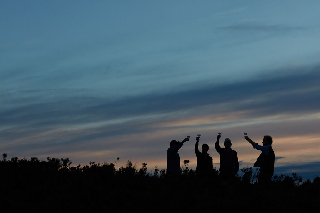 Spirit of the Wild - Wild Intrigue