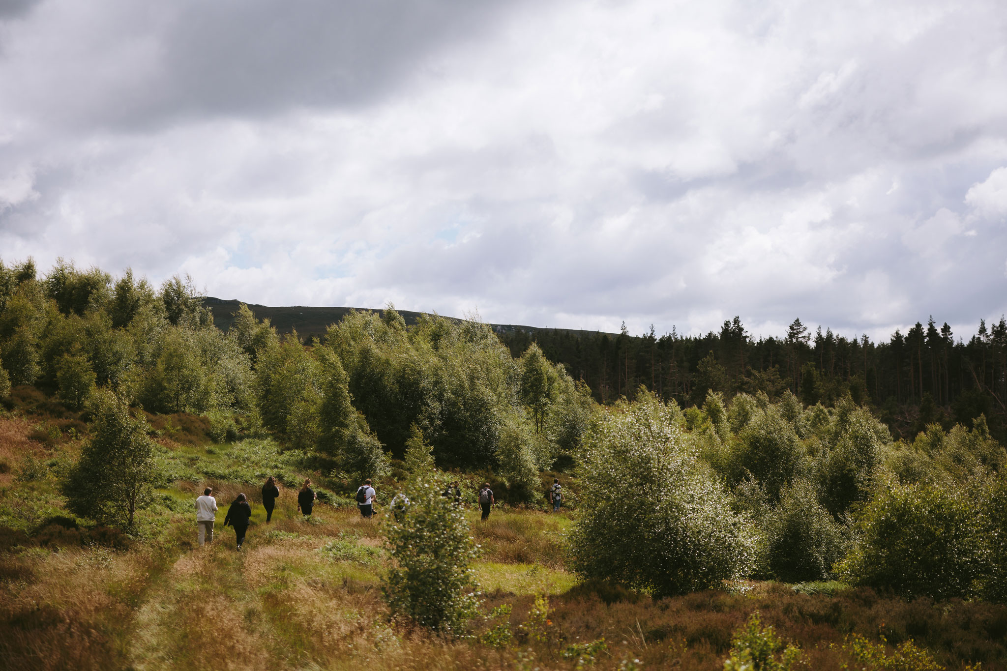 Spirit of the Wild - Wild Intrigue