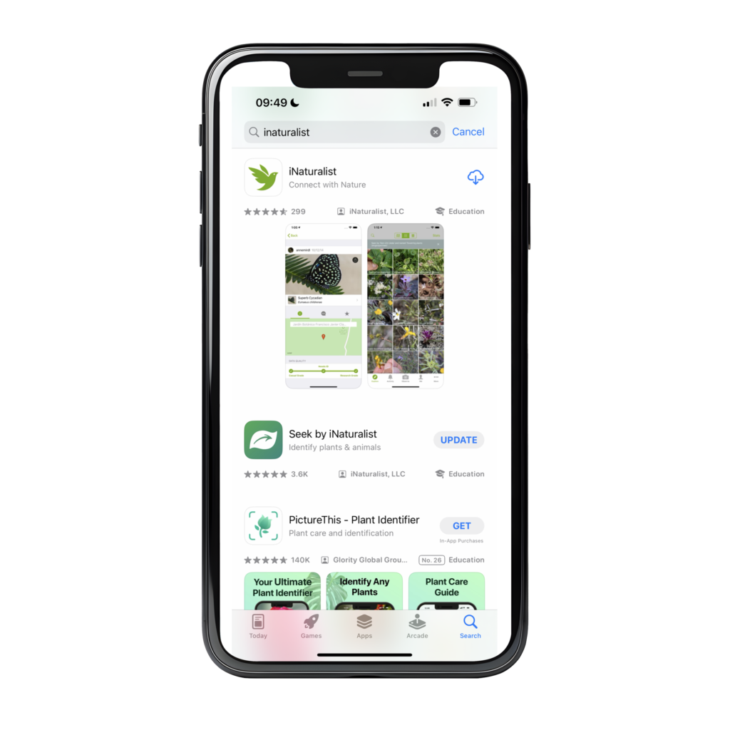 How to use iNaturalist - Wild Intrigue