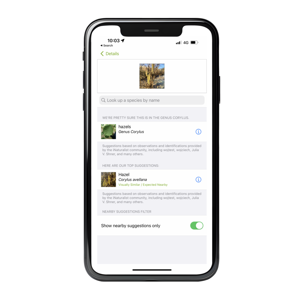 How to use iNaturalist - Wild Intrigue
