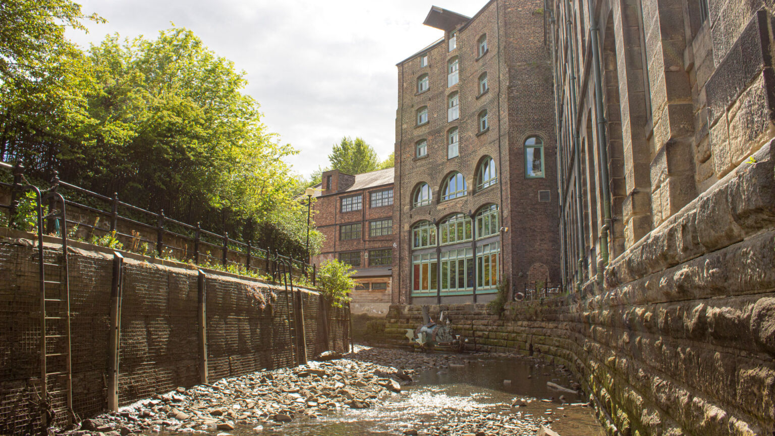 Ouseburn Wild Talks | Water Quality in the Ouseburn - Challenges and ...